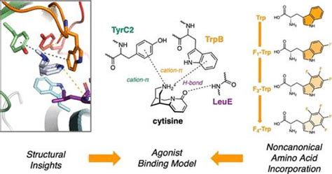 Journal Of The American Chemical