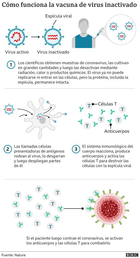Coronavirus las dudas sobre la eficacia de las vacunas chinas y cómo