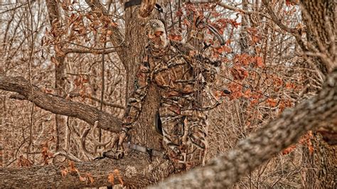 Bowhunting Wallpapers Wallpaper Cave