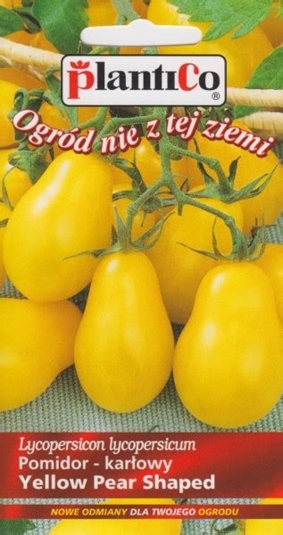 Pomidor Yellow Pearshaped 0 2g PL Centrum Ogrodnicze UNIFLORA pl Zamość