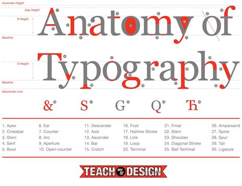 Anatomy Of Type Anatomy Of Typography Typography Terms Typographic