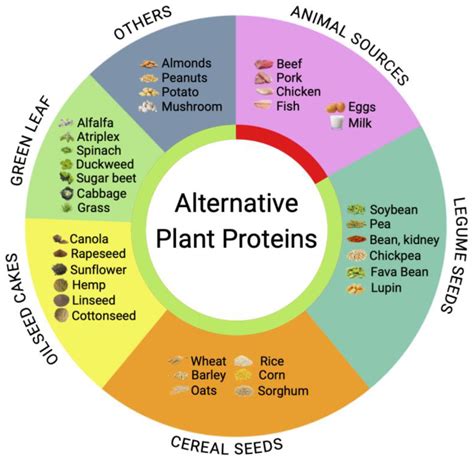 Nutrients Free Full Text Current Status And Nutritional Value Of