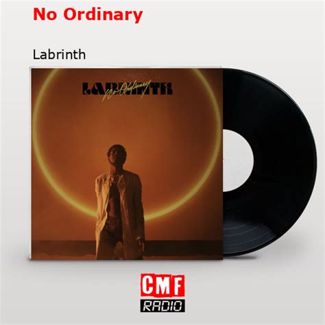 The Story And Meaning Of The Song No Ordinary Labrinth