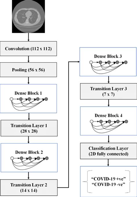 modified densenet 121 cnn used for training and inference download scientific diagram
