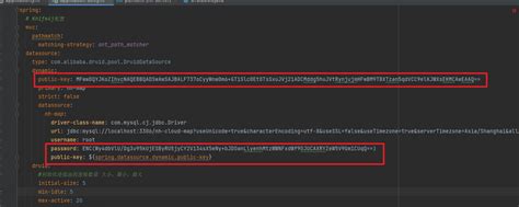 spring使用druid多数据源yml密码加密 一群bug 博客园