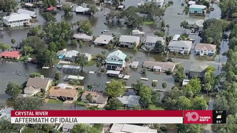 Oak Tree Falls On Florida Gov S Mansion Amid Hurricane Idalia Wtsp