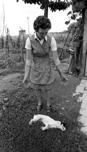 Il Disastro Di Seveso 37 Anni Fa La Repubblica