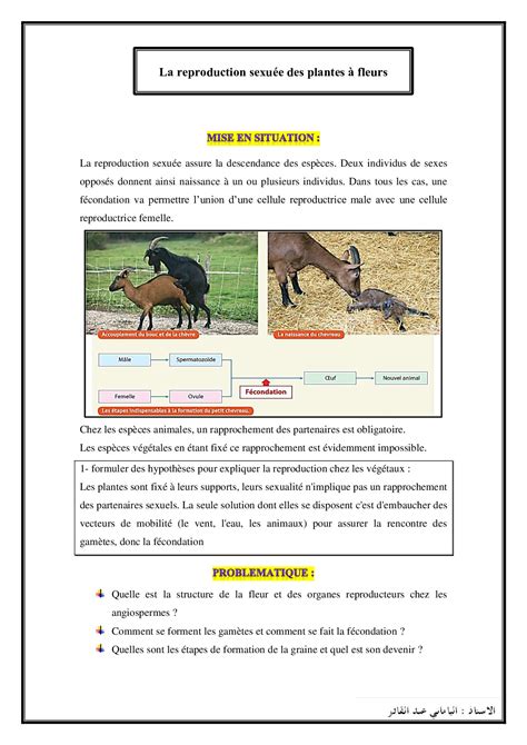 Svt 4ème Reproduction Sexuée Des êtres Vivants Free Nude Porn Photos