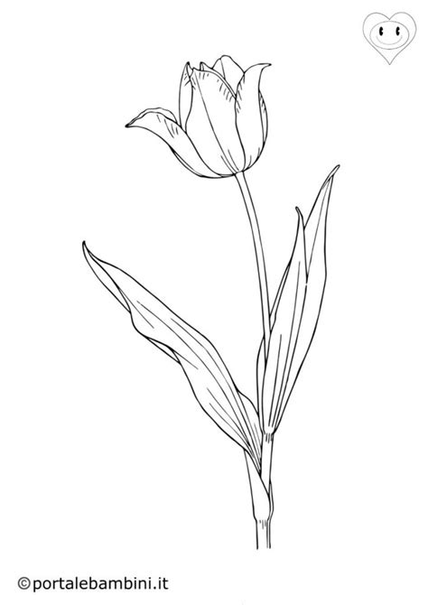 Tulipani Da Colorare Stampa Gratis Portalebambini It