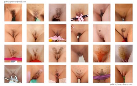 Women With Beautiful Pubic Haircuts 60 Photos Porn Photo
