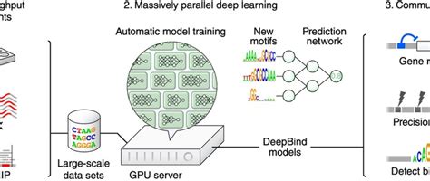 makale predicting the sequence specificities of dna and rna binding proteins by deep learning