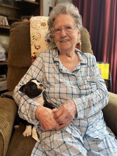 Took My 7 Week Old To Visit My 94 Year Old Granny 🥹🥹 Rbostonterrier