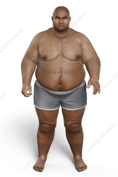 Obese Man Standing Illustration Stock Image F037 5714 Science