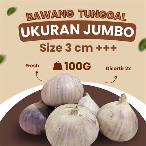 Jual Bawang Putih Tunggal Lanang JUMBO 3 Cm 100 GR Shopee Indonesia