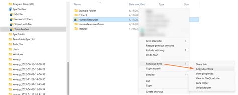 Create A Direct Filecloud Link In Sync Filecloud Docs Server