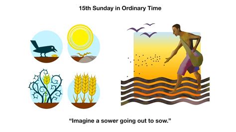 Imagine A Sower Going Out To Sow Homily For The Th Sunday In