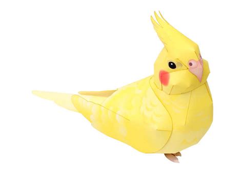 Top với hơn 75 về mô hình con chim mới nhất coedo vn