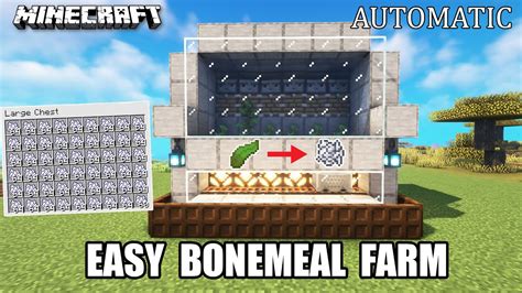 Minecraft Easy Automatic Kelp Bone Meal Farm Tutorial Survival Bedrock
