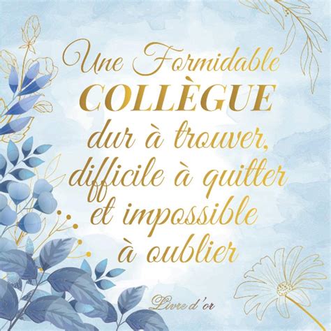 Buy Une formidable collègue Livre d or retraite pour femme Idée