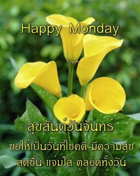 Yellow Flowers With The Words Happy Monday In Thai