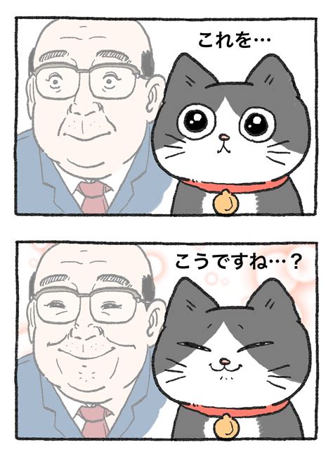 Twitterで話題の猫漫画ねこに転生したおじさん 作者やじまさんが語る制作の裏話ねこナビ