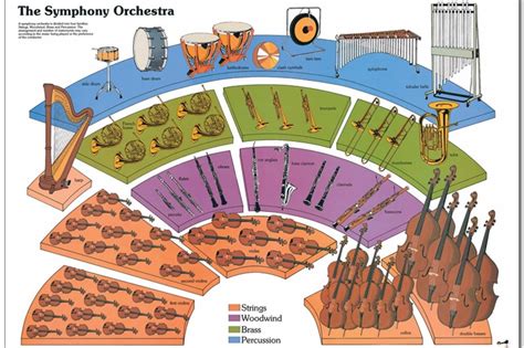 What Is An Orchestra Skagit Symphony