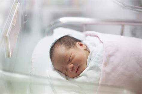 Neurological Problems In Babies Explored Birth Disorders
