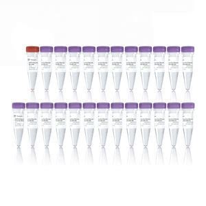 Reagenzkit als Lösung NM1090 series Vazyme Medical Co Ltd NGS