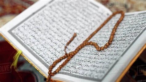 Terjemahan Surah Al Fatihah Beserta Bacaan Arab Dan Latin