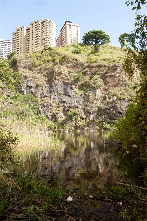 Caracas Ven Y Descubrela La Laguna De La Tahona Caracas Mejor Conocida