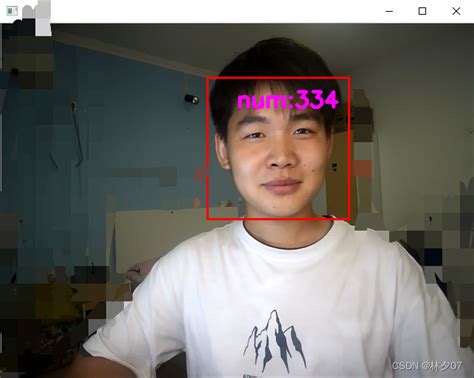 【深度学习】基于卷积神经网络（tensorflow）的人脸识别项目（二） 深度学习 林夕07 gitcode 开源社区
