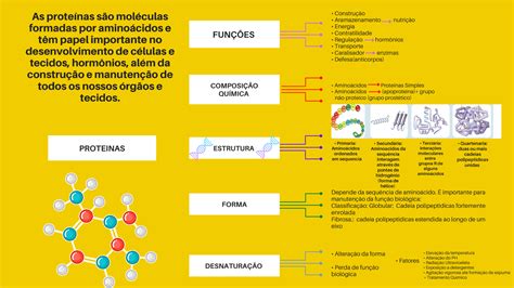 mapa mental Bioquímica I