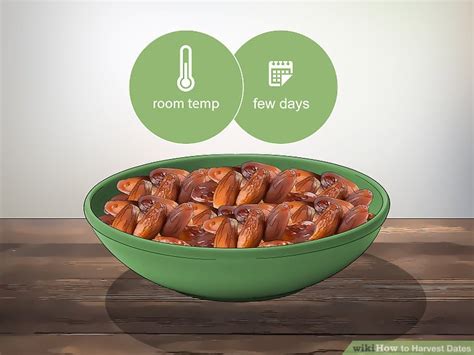 How To Harvest Dates Steps With Pictures Wikihow