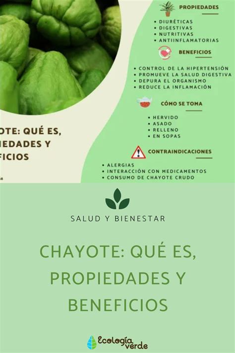 Chayote qué es propiedades y beneficios Guía completa