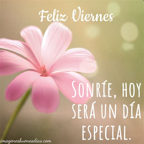 Viernes Buenos Dias 5894 2 Imágenes Buenos Días