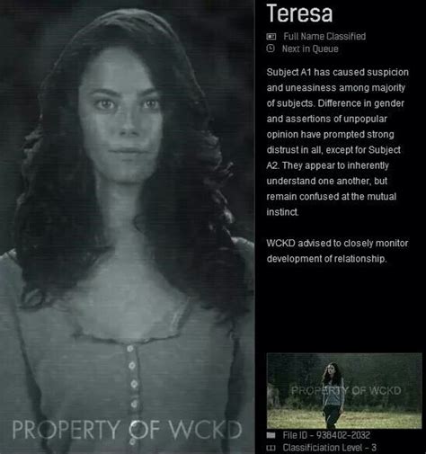 Kaya Scodelario As Teresa Agnes Maze Runner Series Maze Runner Maze