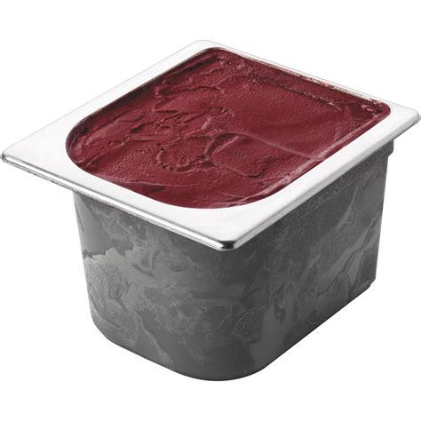 Transgourmet Österreich Eisl Bio Heidelbeer Rosmarin Eis 2 3 l