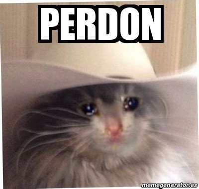 Meme Personalizado Perdon 31295424