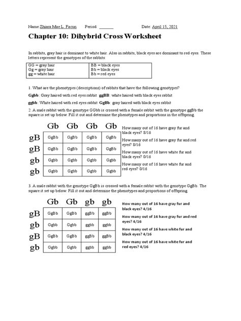 GBGBGBGB GB GB GB GB Chapter 10 Dihybrid Cross Worksheet