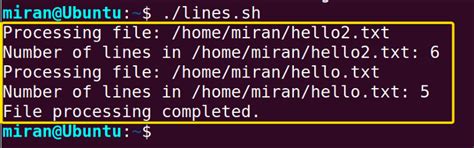 boolean variables “true false” and logical operators in bash linuxsimply