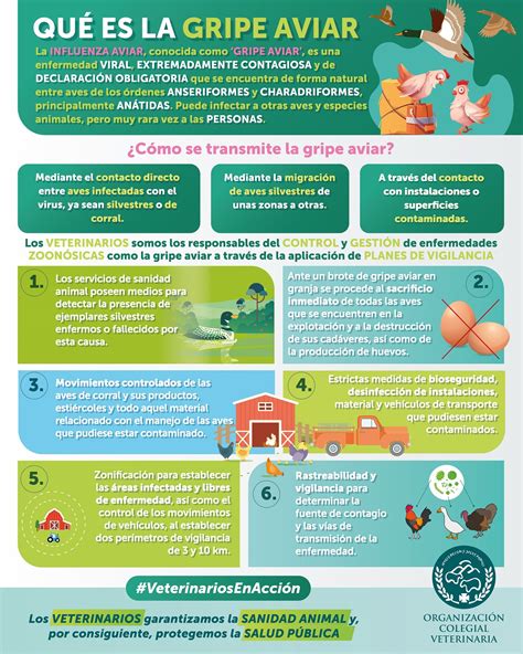 Infografía GRIPE AVIAR COLVETO Colegio Oficial de Veterinarios de