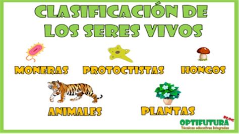 CLASIFICACION DE LOS SERESVIVOS