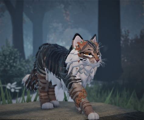 braided stripes wcue morph Süße katzen bilder Katzen kunst Süße tiere