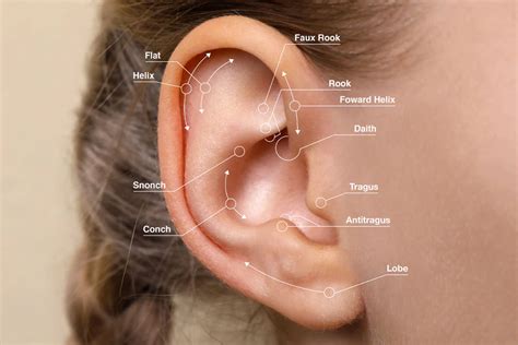 Ear Piercing 4 Best Benefit And Names