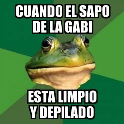 Meme Foul Bachelor Frog Cuando El Sapo De La Gabi Esta Limpio Y