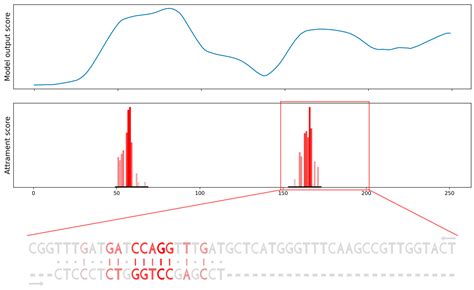 biology free full text using attribution sequence alignment to interpret deep learning