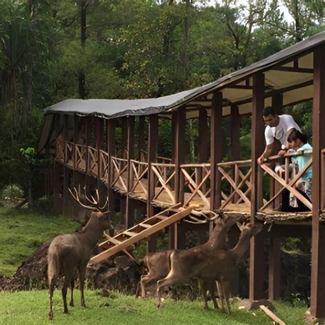 Rekomendasi Wisata Anak Di Bogor Bersama Keluarga Yang Seru Dan