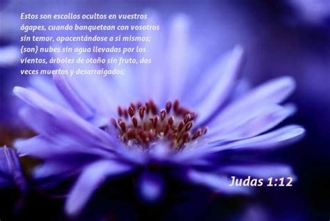 Textos bíblicos para celebrar un aniversario Inspiración divina para