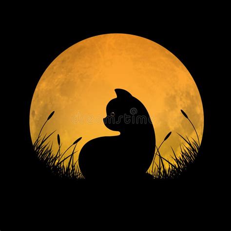 El gato y la Luna Llena ilustración del vector Ilustración de full