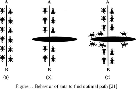[pdf] optimal placement of distributed generation and capacitor in distribution networks by ant